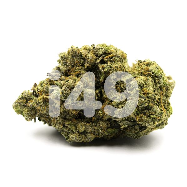 Buy Feminized Auto LSD Weed Seeds For Sale | I49 Genetics