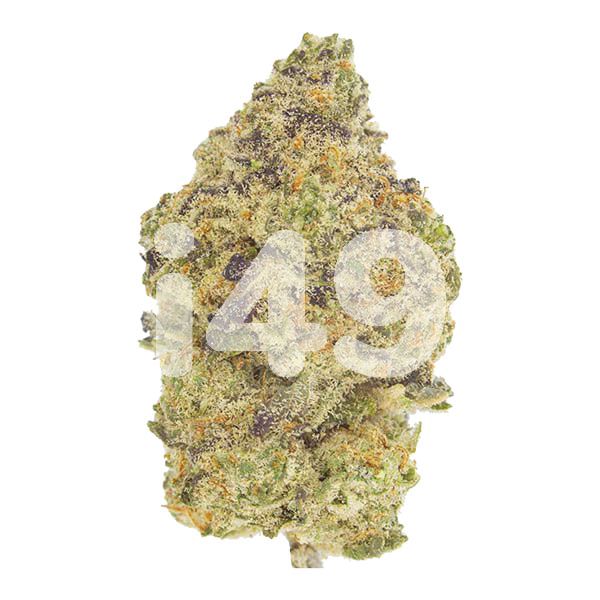Buy Do-Si-Dos Fem Seeds Online Here | i49 USA
