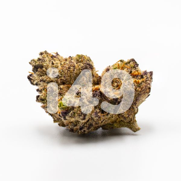 Buy Platinum Cookies Weed Seeds For Sale | I49 Seed Bank